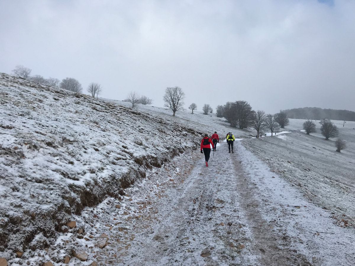 Thur-Trail 2019 - die Vogesen von ihrer schönsten Seite | Faszination Trail