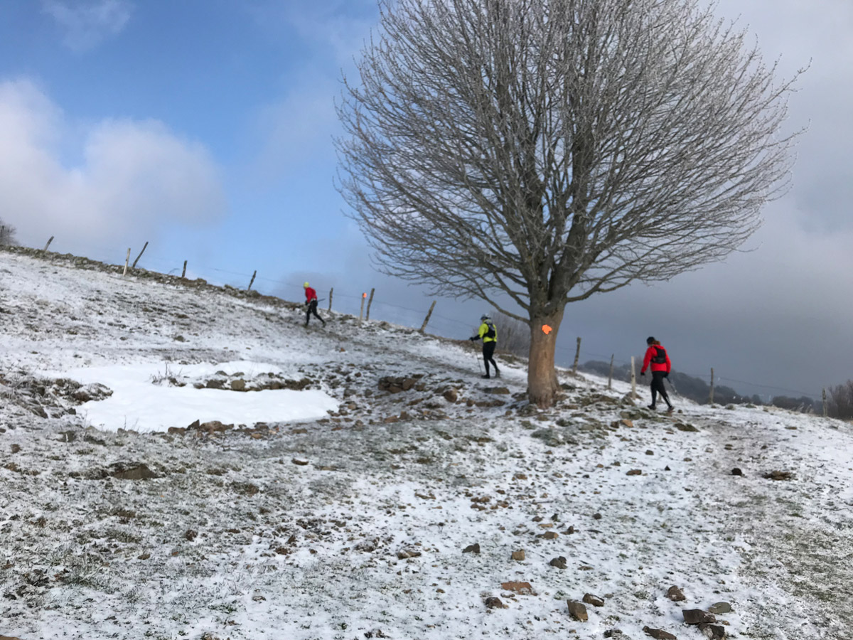 Thur-Trail 2019 - die Vogesen von ihrer schönsten Seite | Faszination Trail